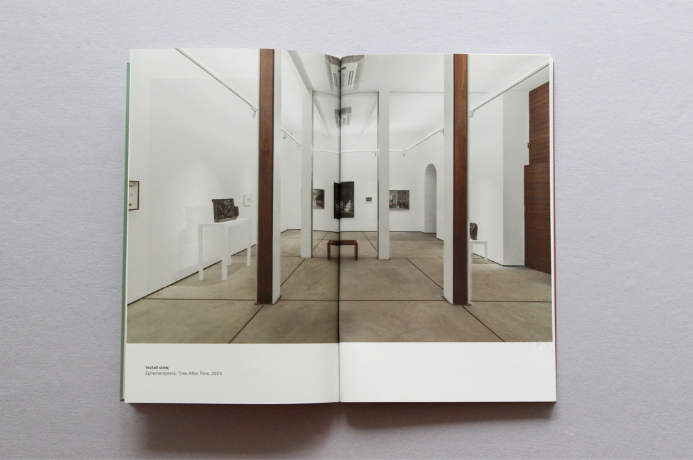 TARQ: Ephemeroptera: Time After Time 2023-24 - anugraha