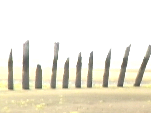 LOGARITHM - Clancy Dennehy