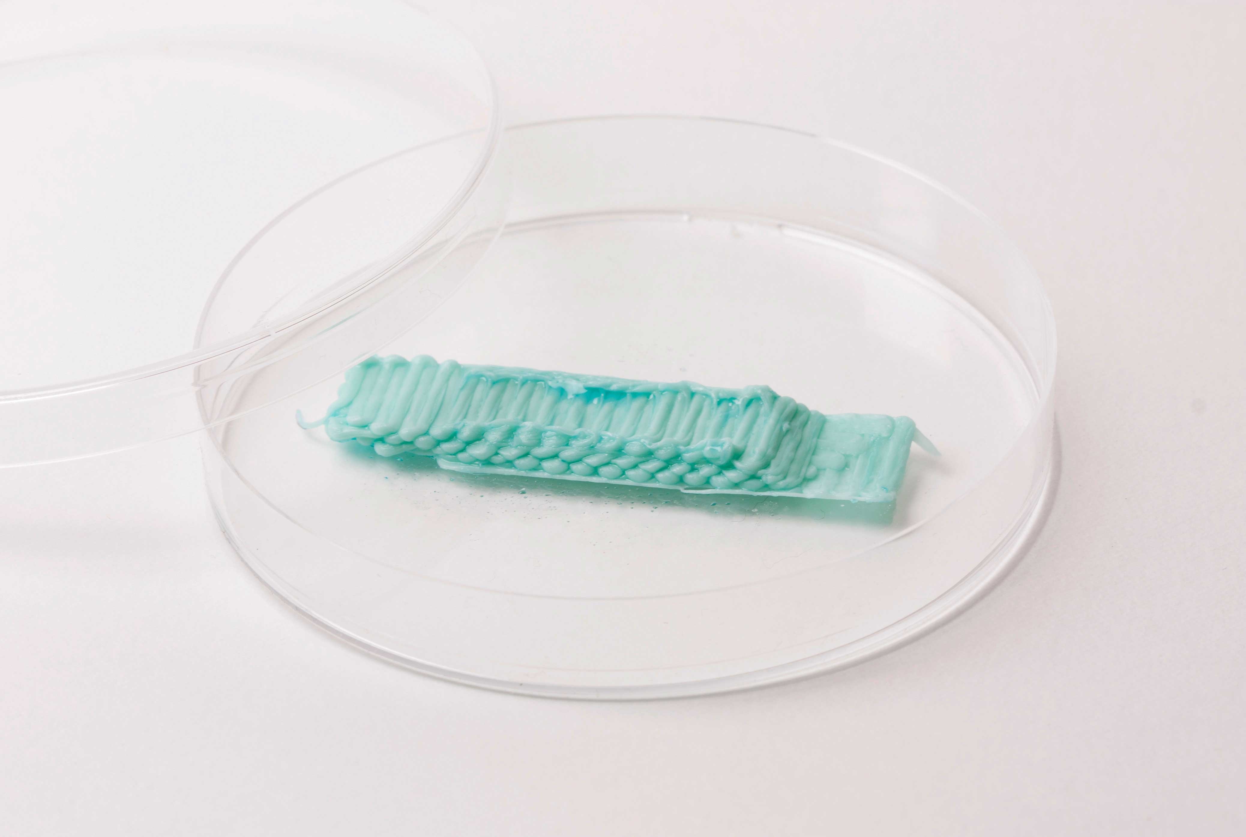 3D Printed Chewing Gum - g u m l a b . u k