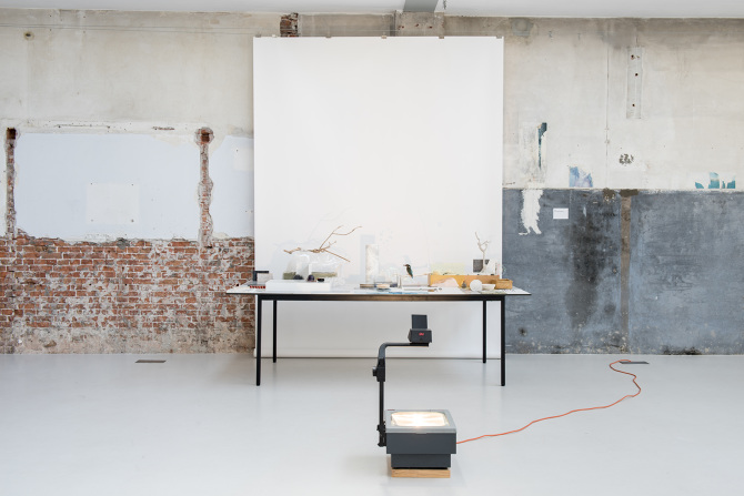 borrowed scenery - Anne Büscher