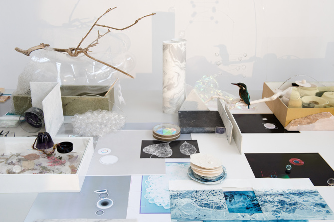 borrowed scenery - Anne Büscher