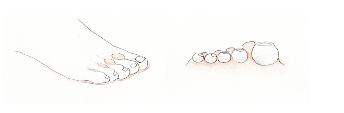 the space between my toes - Anne Büscher