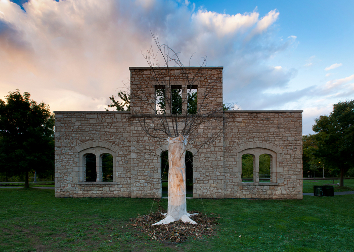 The Rooting Project - Robert Kingsbury