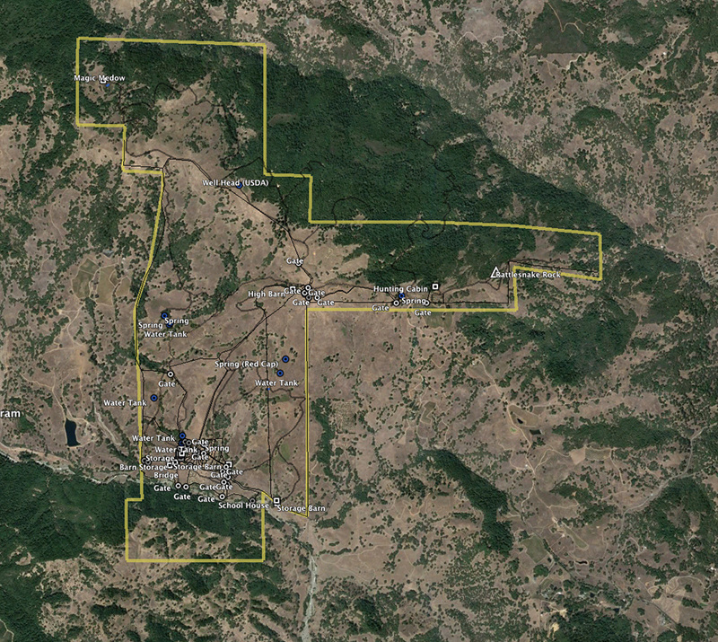 Interactive Maps - Ross Donihue