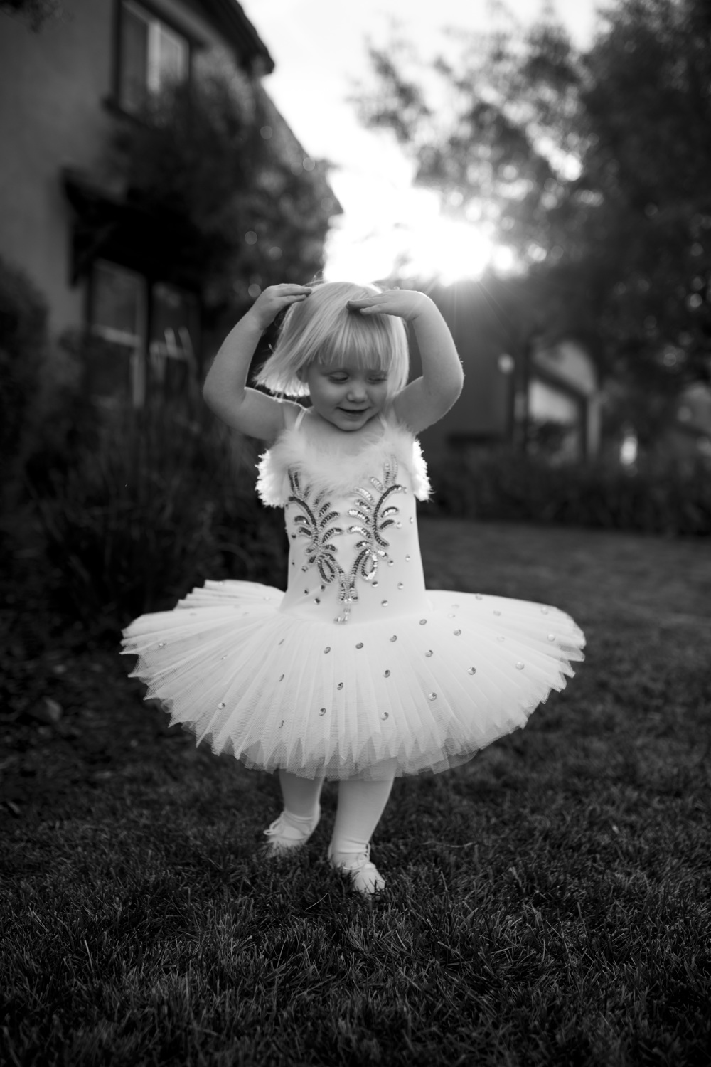 George - Sierra Raine White Photography