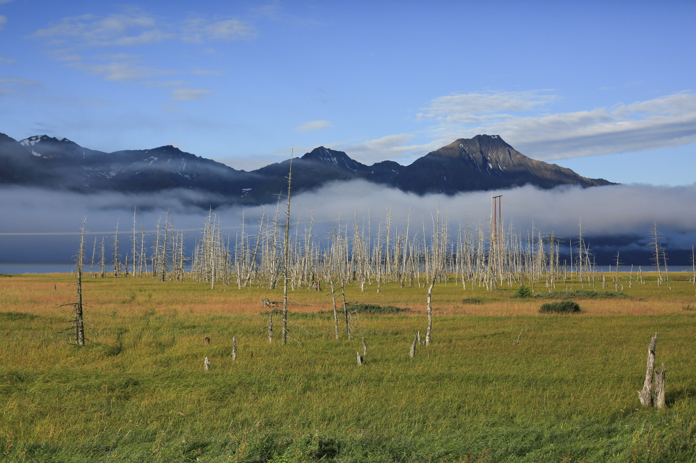 Alaska - Sierra Raine White Photography