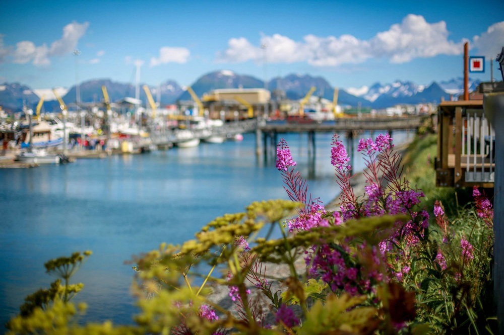 Alaska - Sierra Raine White Photography