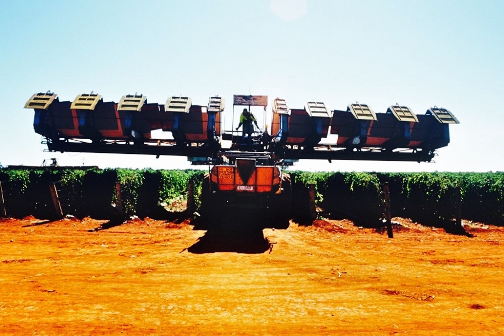 PHOTO - Anaïs Sartini