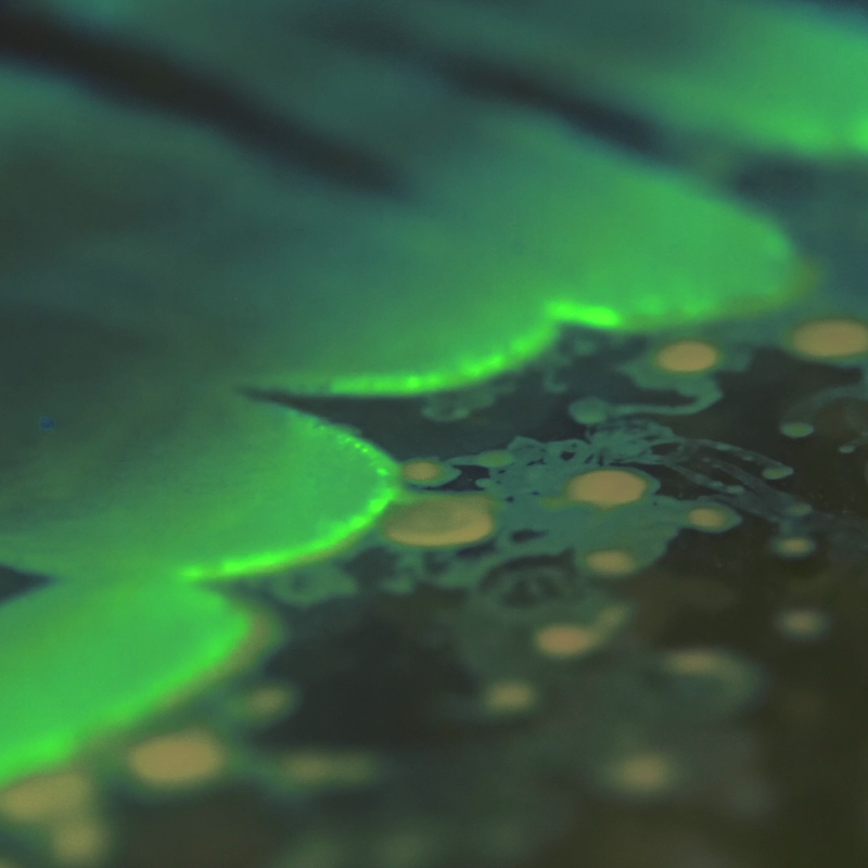 Metabol.A.I. - 18apples