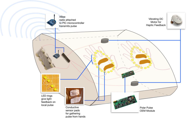 imPulse - bio-signal representation framework