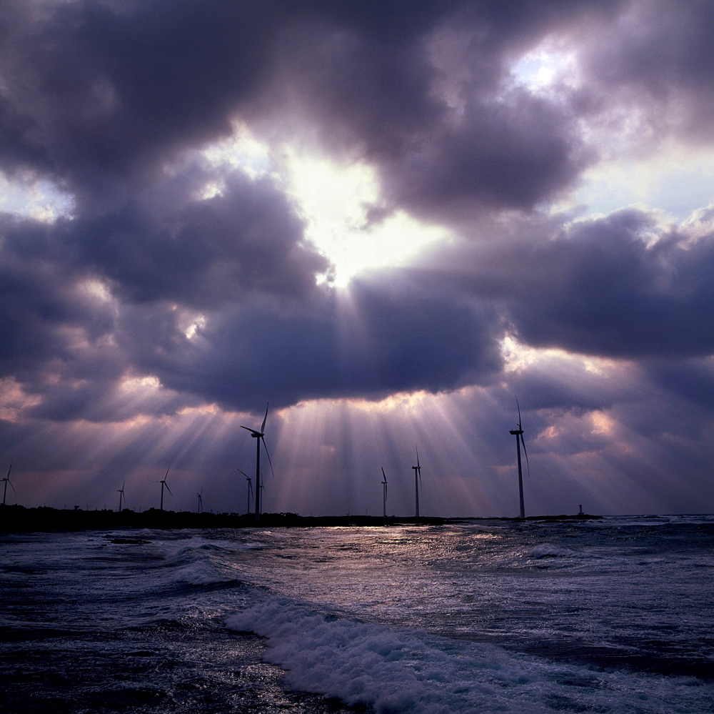 The East Sea - Ryan Park