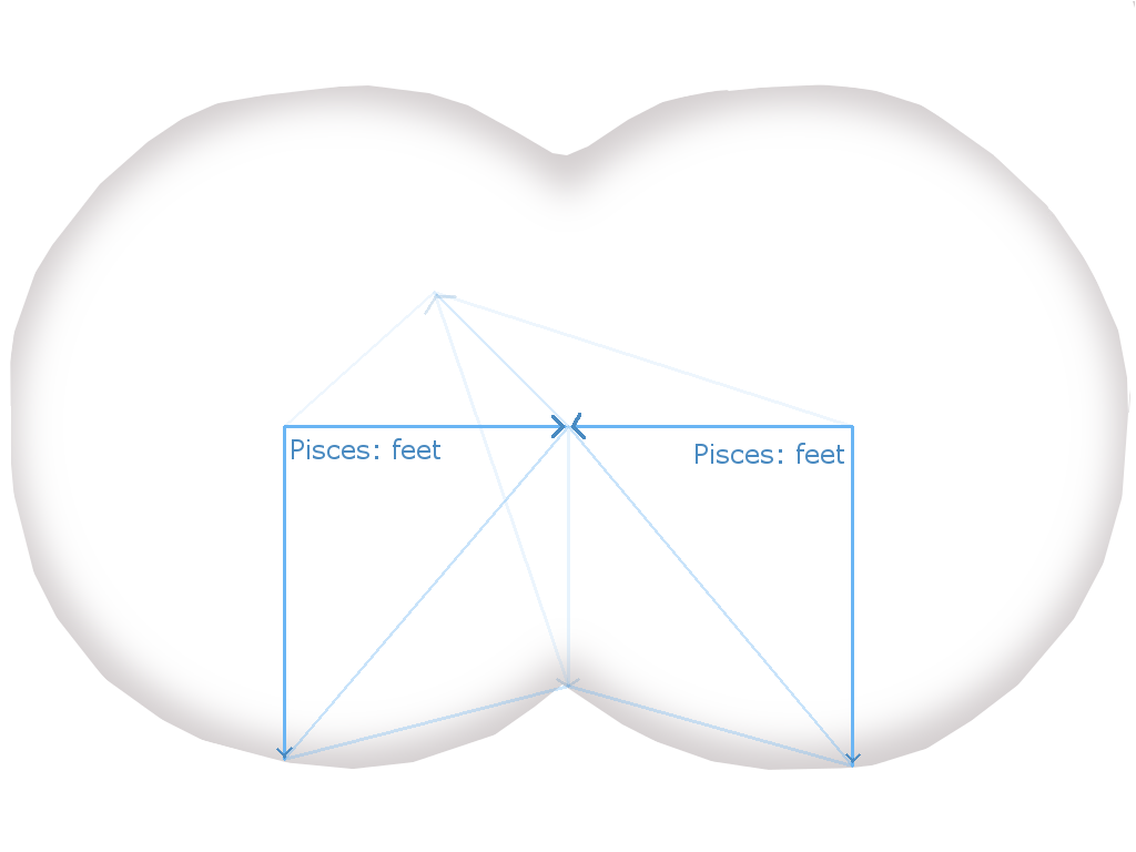 Pisces the feet - Embodied Astrology