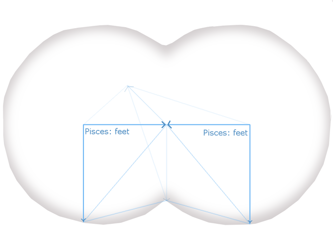 Pisces the feet - Embodied Astrology