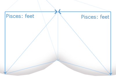 Pisces the feet - Embodied Astrology