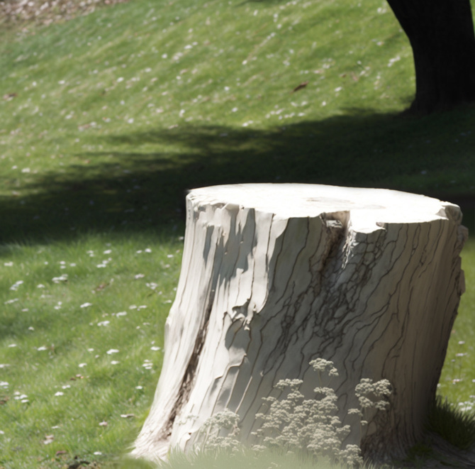 2023 - kevin reinhardt