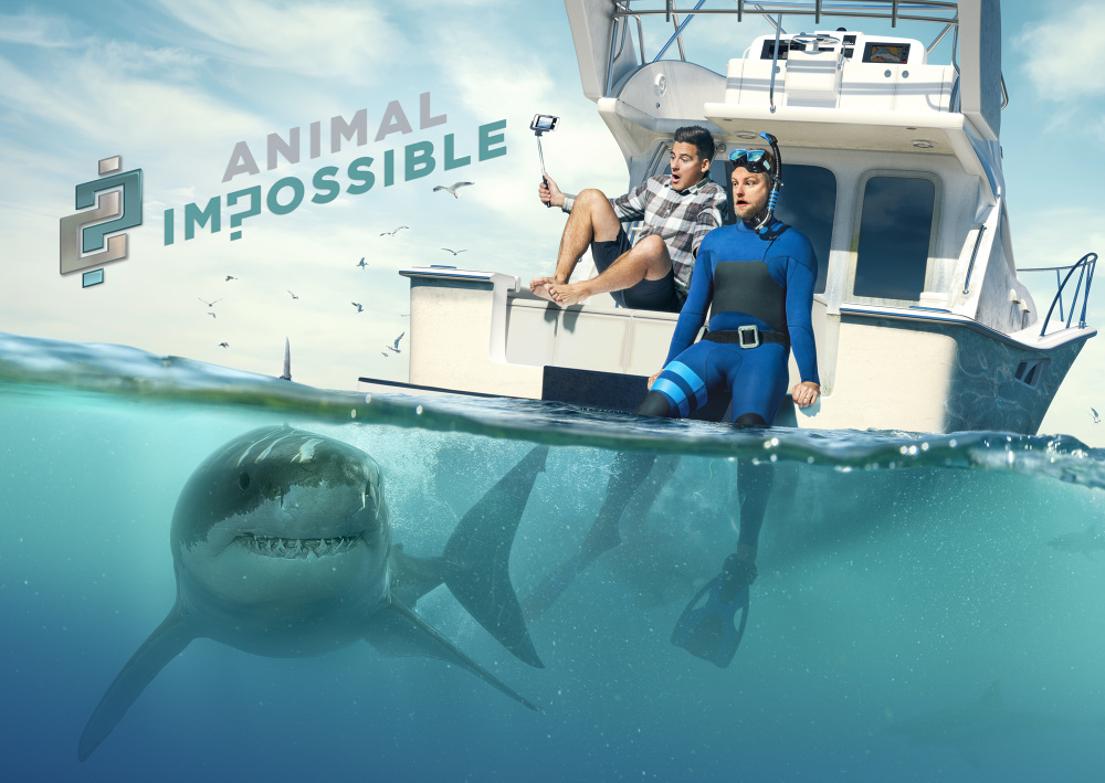 Animal Impossible - Phil Ball