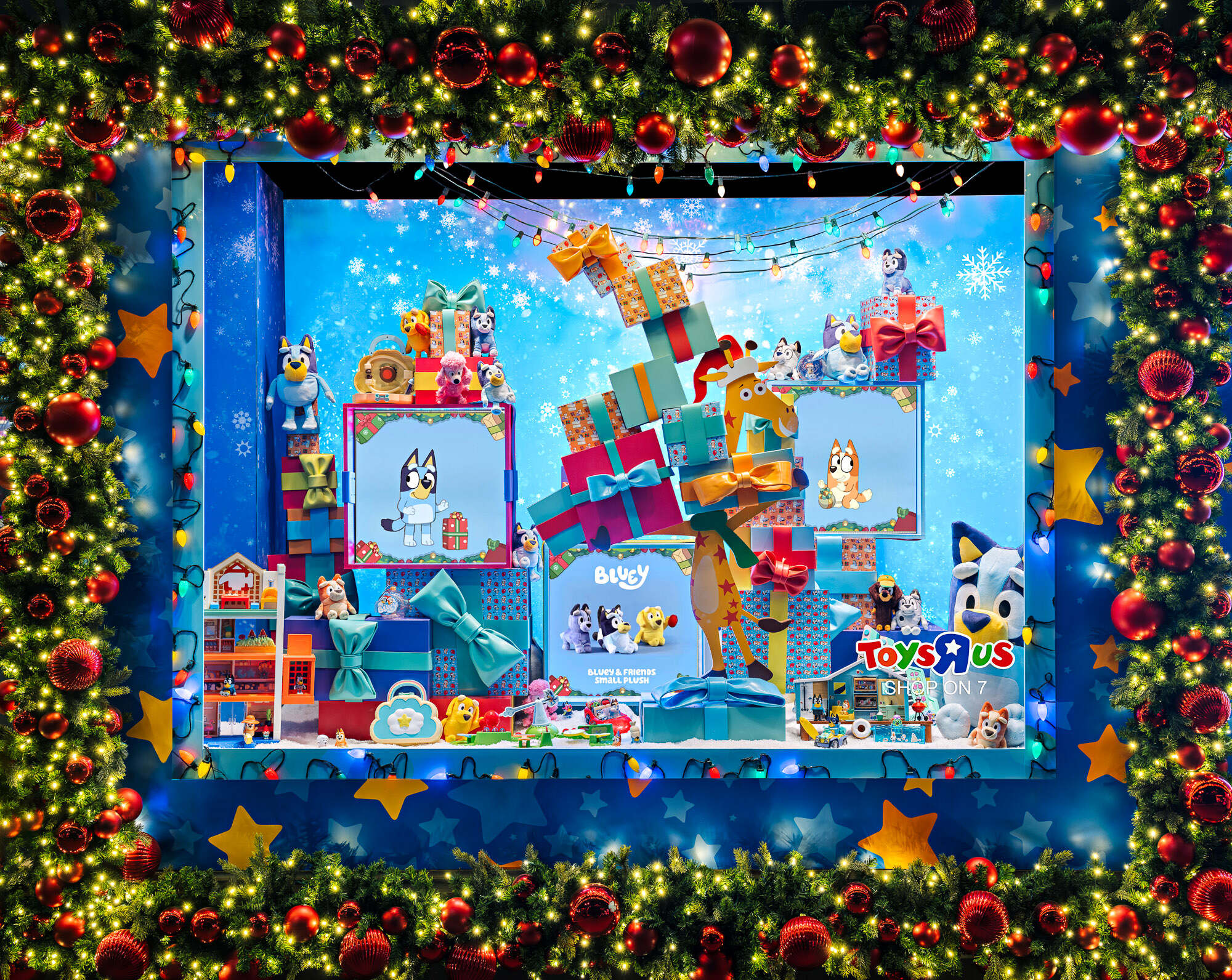 Bluey Macy's Window - Phil Ball