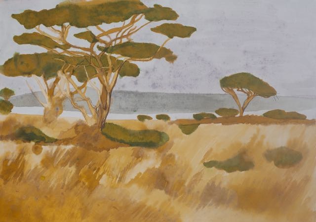 ORIGINALS / - Lucinda May