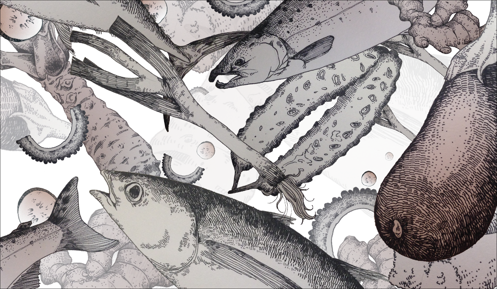 Pen Drawing & Digital Collage - Kim Hyeonyeong