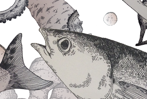 Pen Drawing & Digital Collage - Kim Hyeonyeong