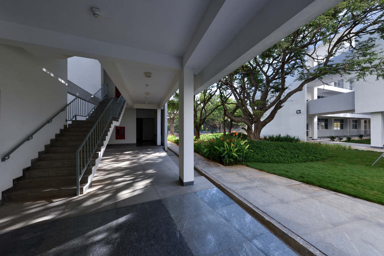 NCSCM - Flying Elephant Studio