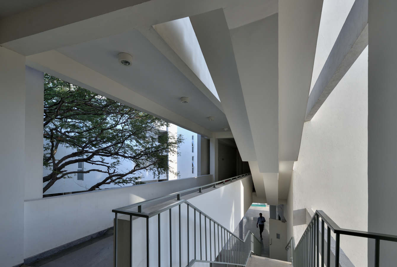 NCSCM - Flying Elephant Studio