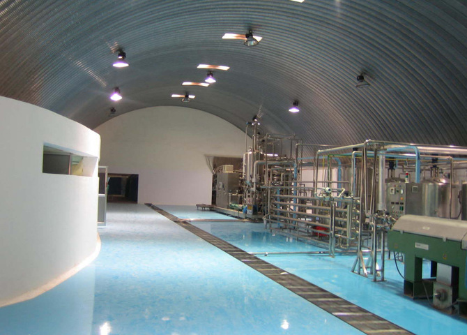 Mango Processing Unit - Flying Elephant Studio