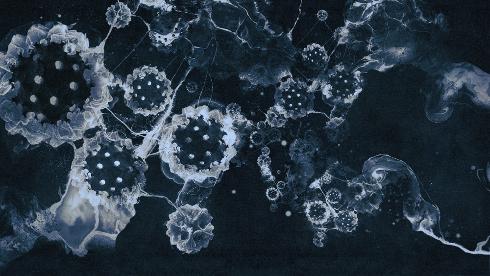 The Last Ship - Ilya V. Abulkhanov