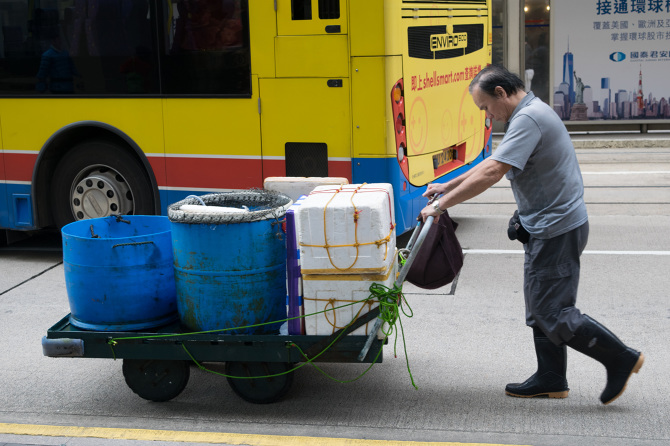 Trolleys of Hong Kong - Olivia Tseu-Tjoa