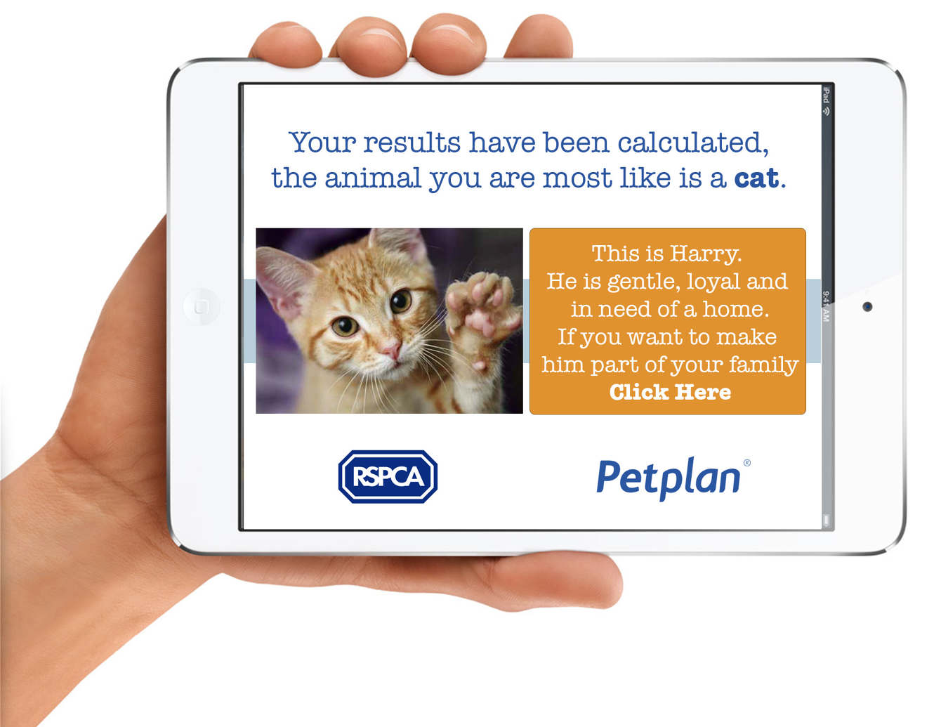 Petplan - YCN Winner - la_al