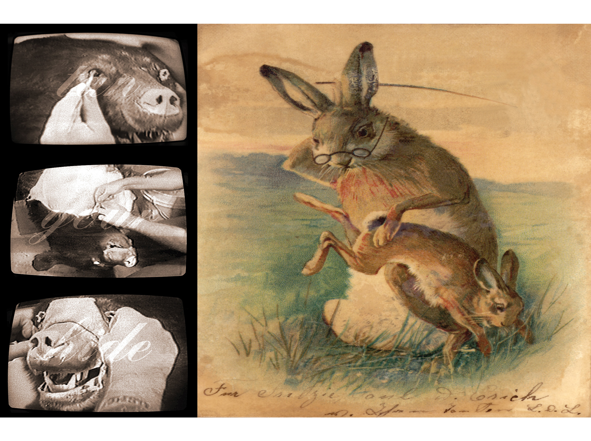 tan your hide - John Brooks Gray