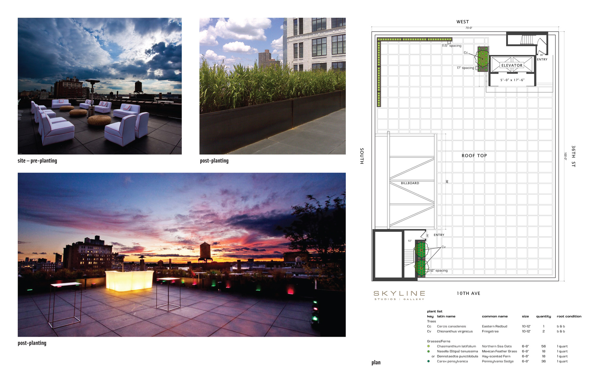 Skyline Studios rooftop - John Brooks Gray