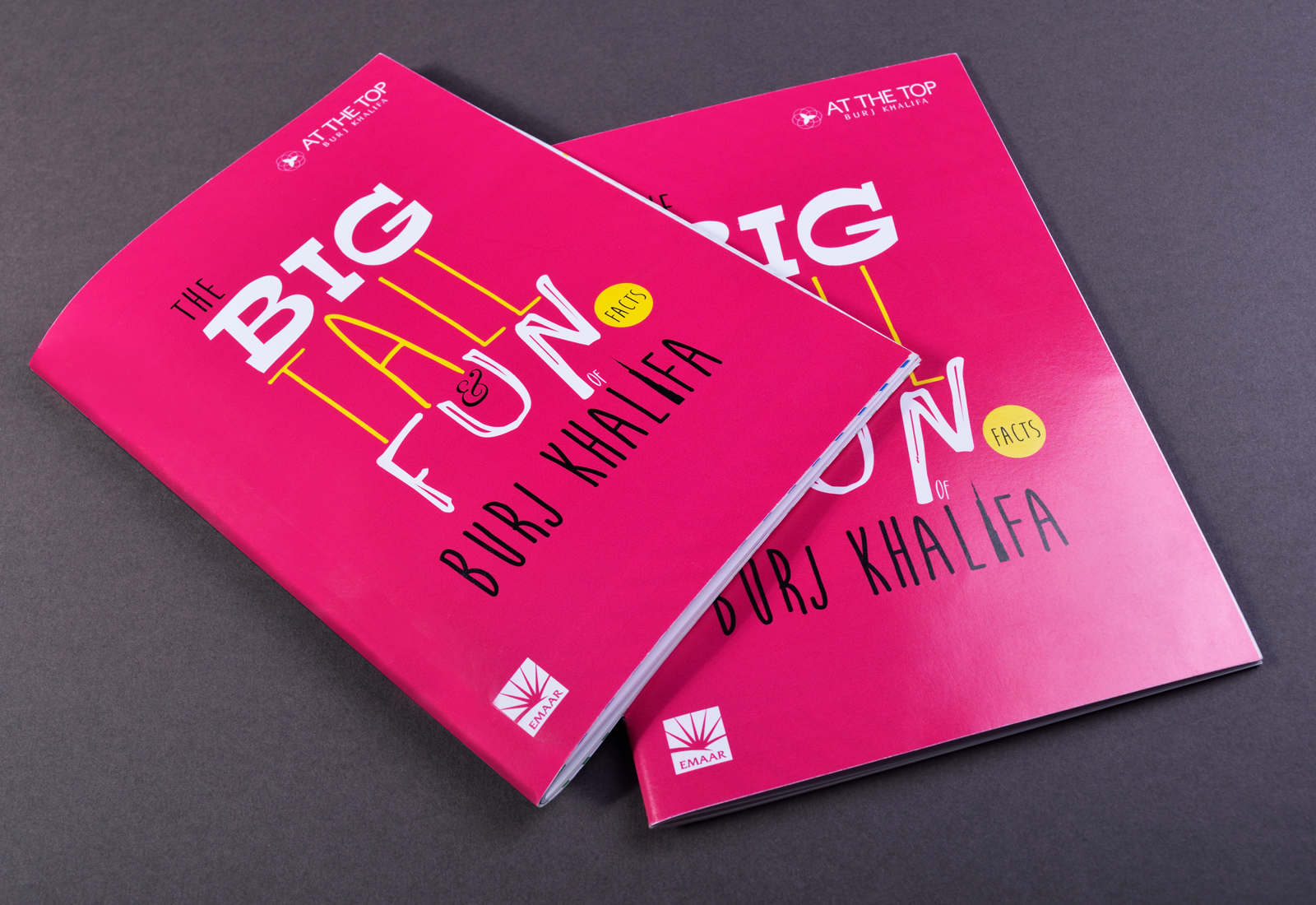 Burj Khalifa - Book of Facts - Anjana Jain