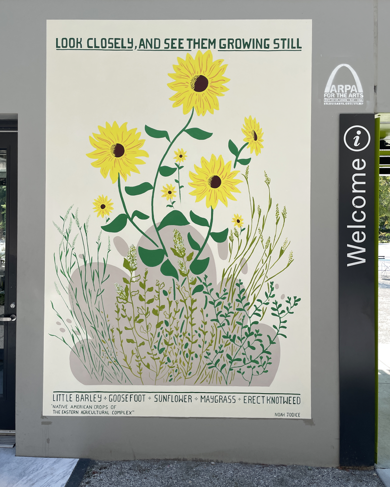 Native American Crops of the Eastern Agricultural Complex - Noah Jodice ...