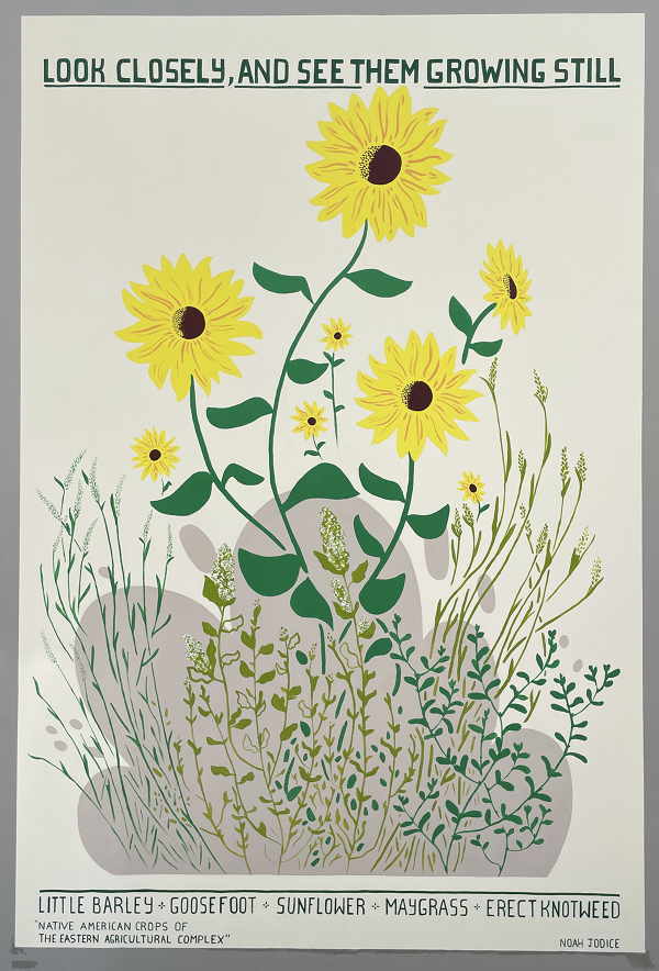 Native American Crops of the Eastern Agricultural Complex - Noah Jodice ...