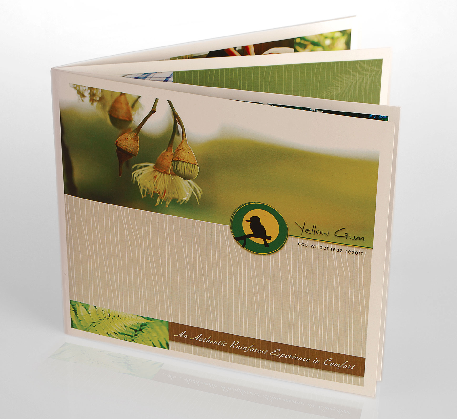 Eco Tourism Brochure - Graphic Design Portfolio