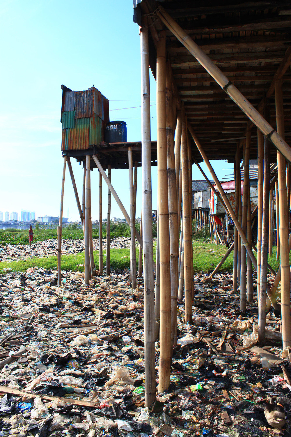 Architecture + Adaptation - Penelope Fung