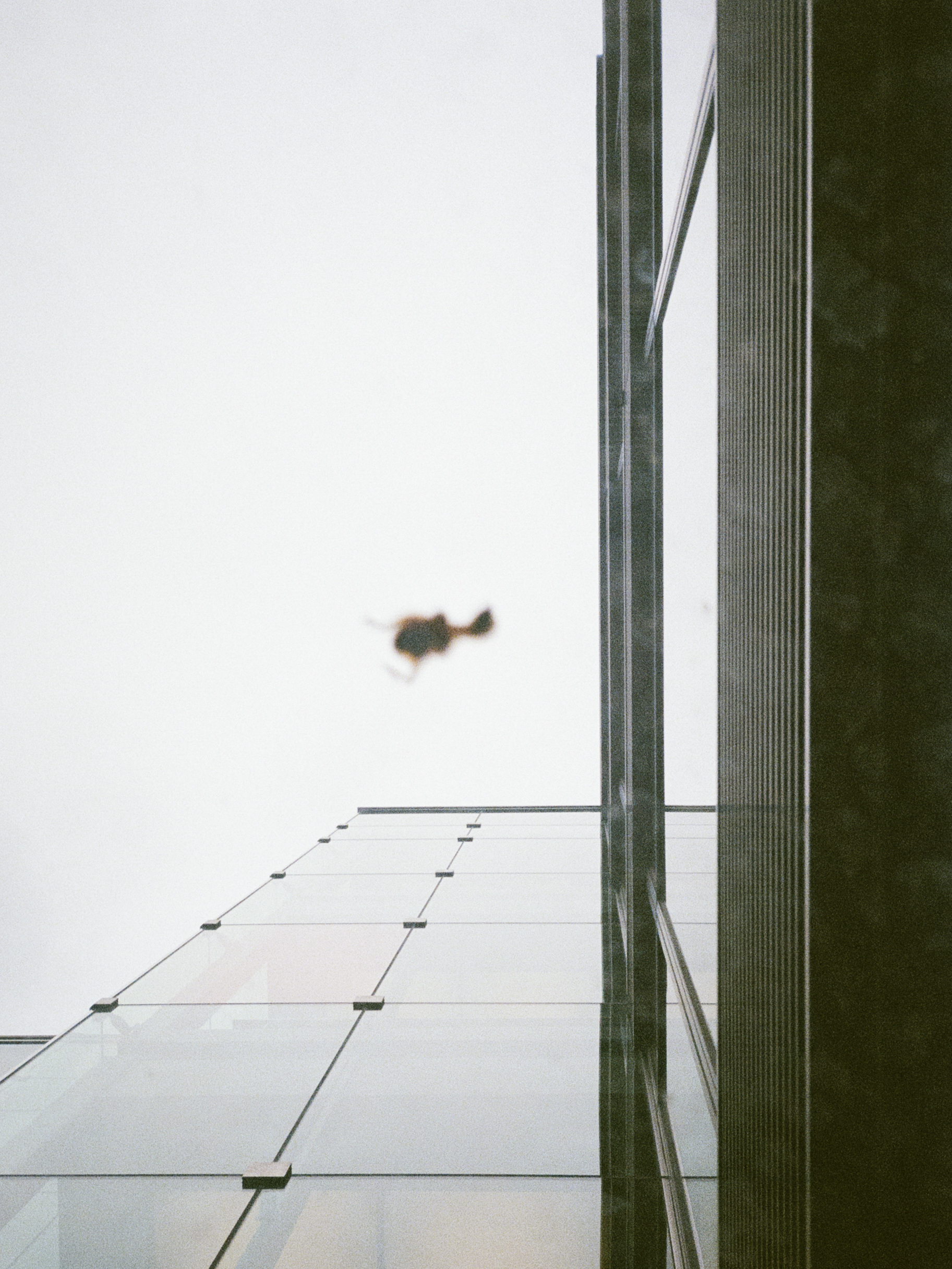 "obscure objects" (2017) - Kisshomaru Shimamura