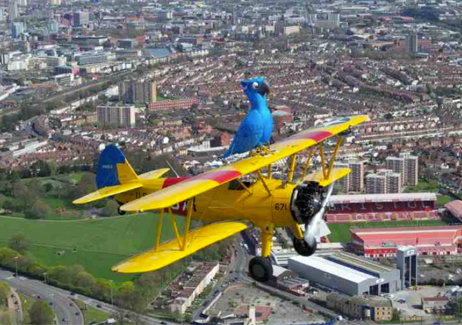 20th Century Fox - Rio - Creativity For Cannes