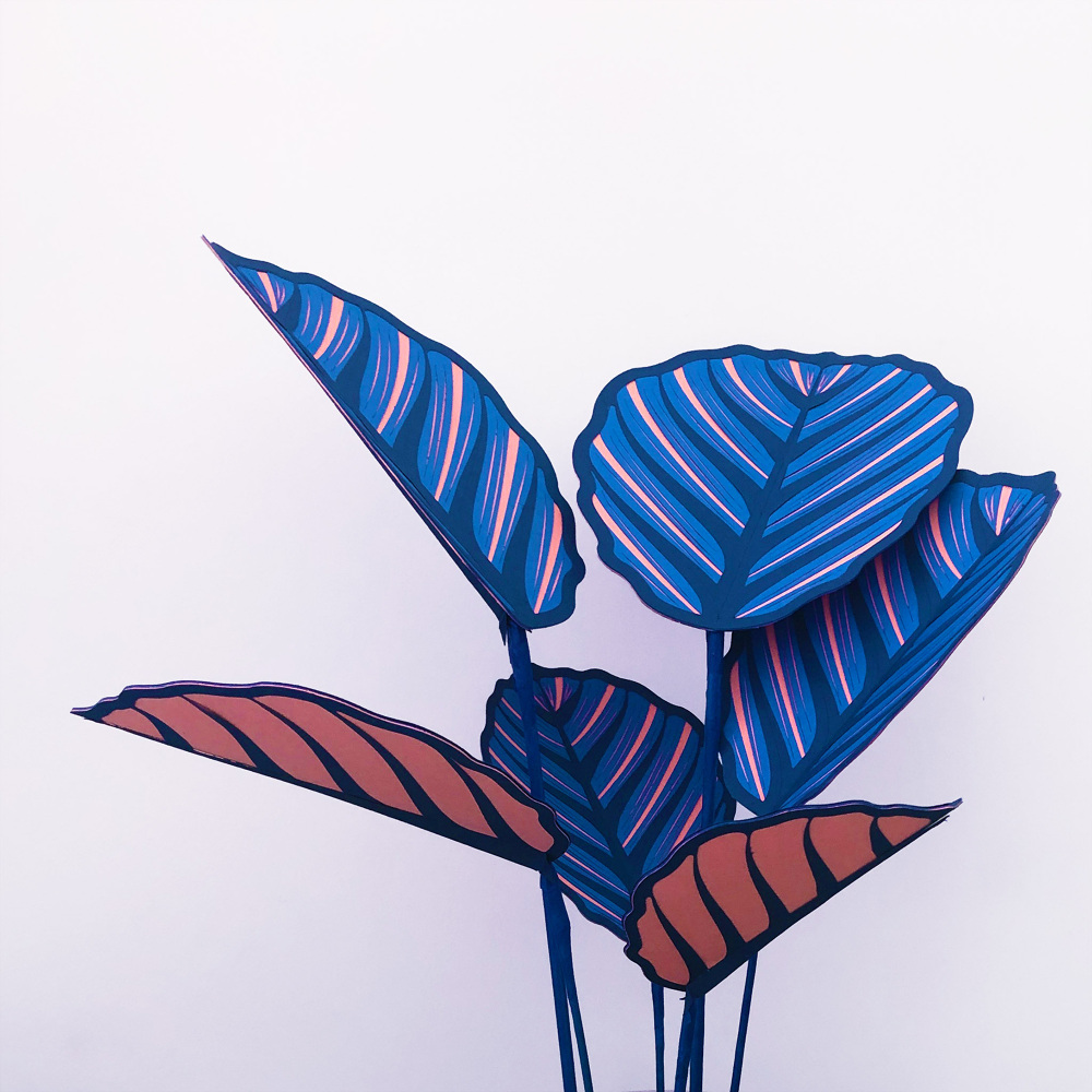 Brazen Botany - Caroline Byrne