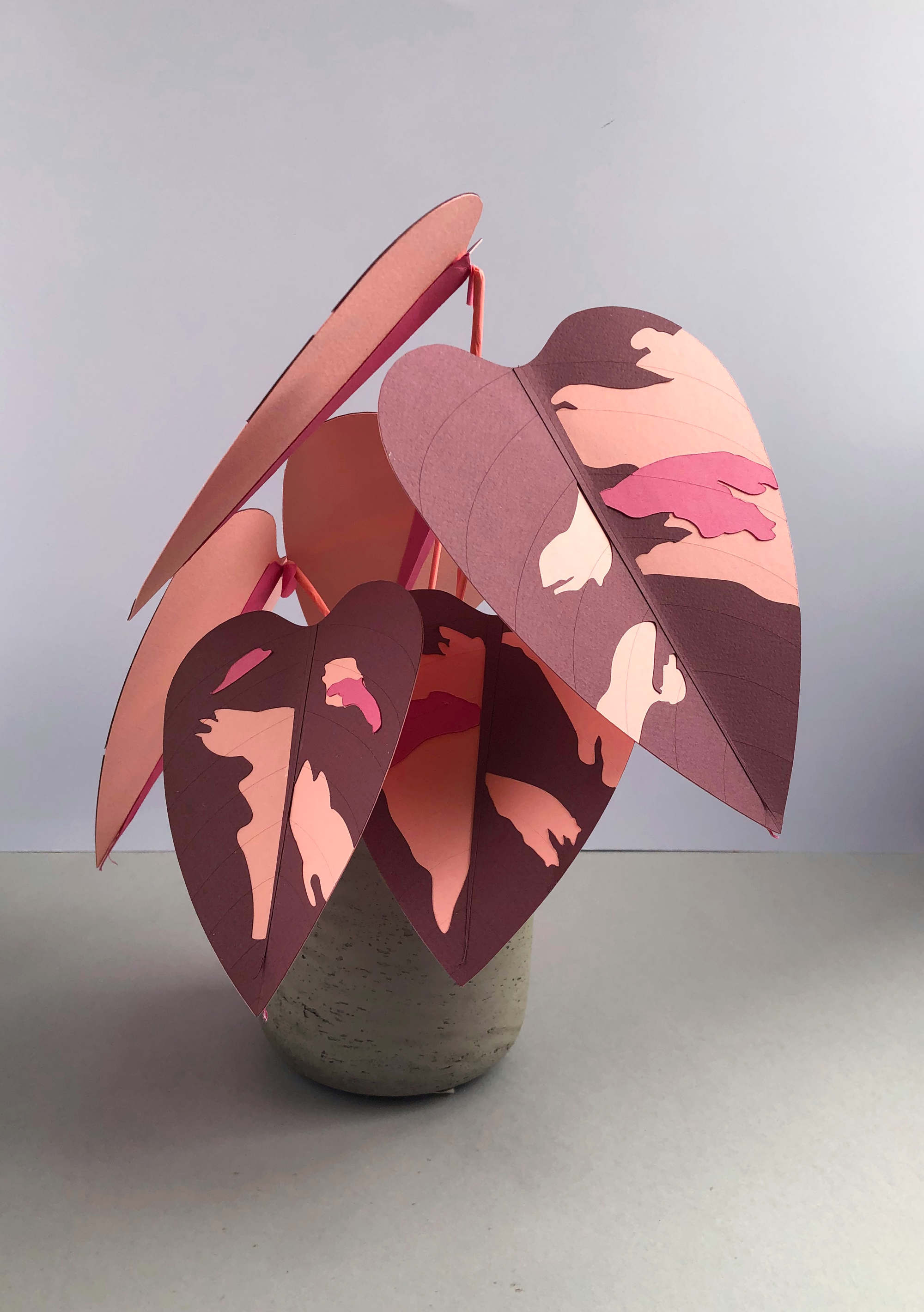 Brazen Botany - Caroline Byrne