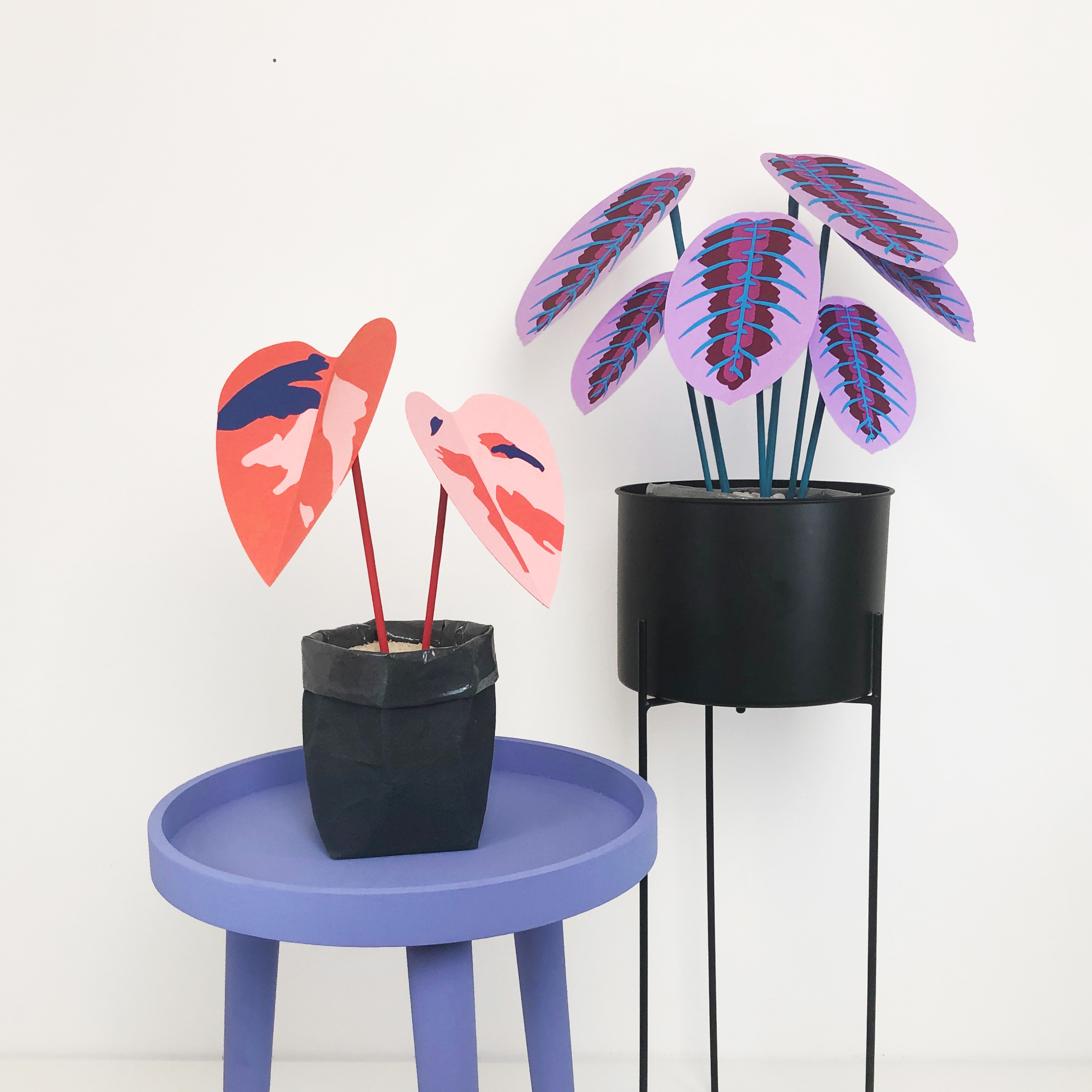 Brazen Botany - Caroline Byrne