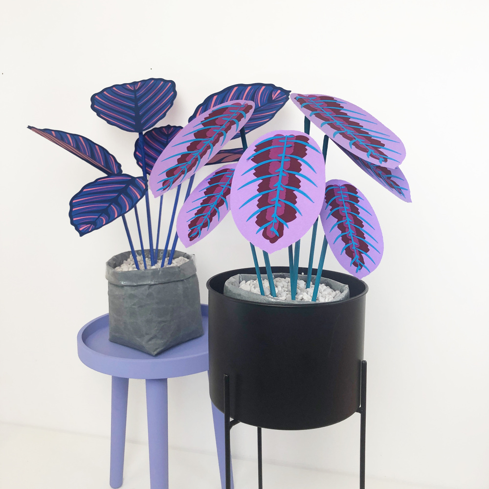 Brazen Botany - Caroline Byrne