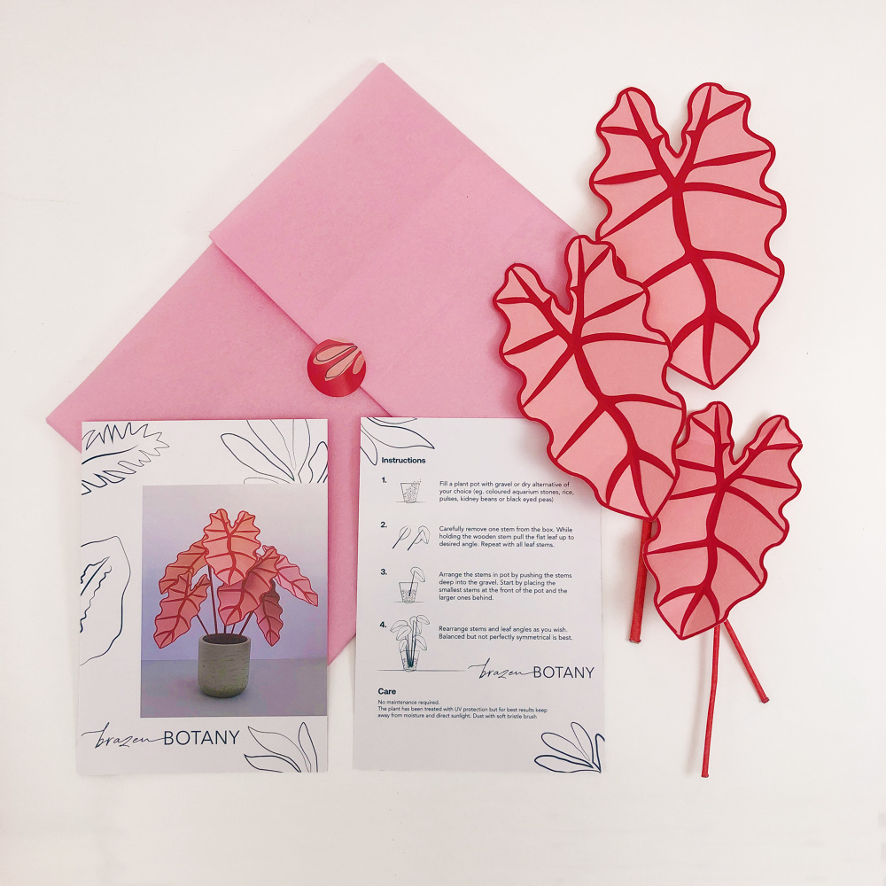 Brazen Botany - Caroline Byrne