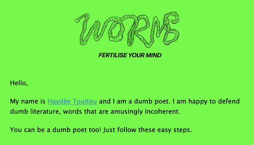 How to Write Dumb Poetry - Haydée Touitou