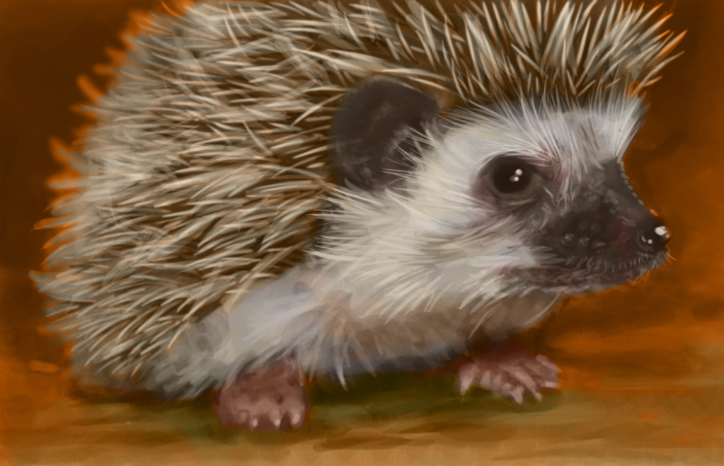 Cave Doodles - Cave-Darr