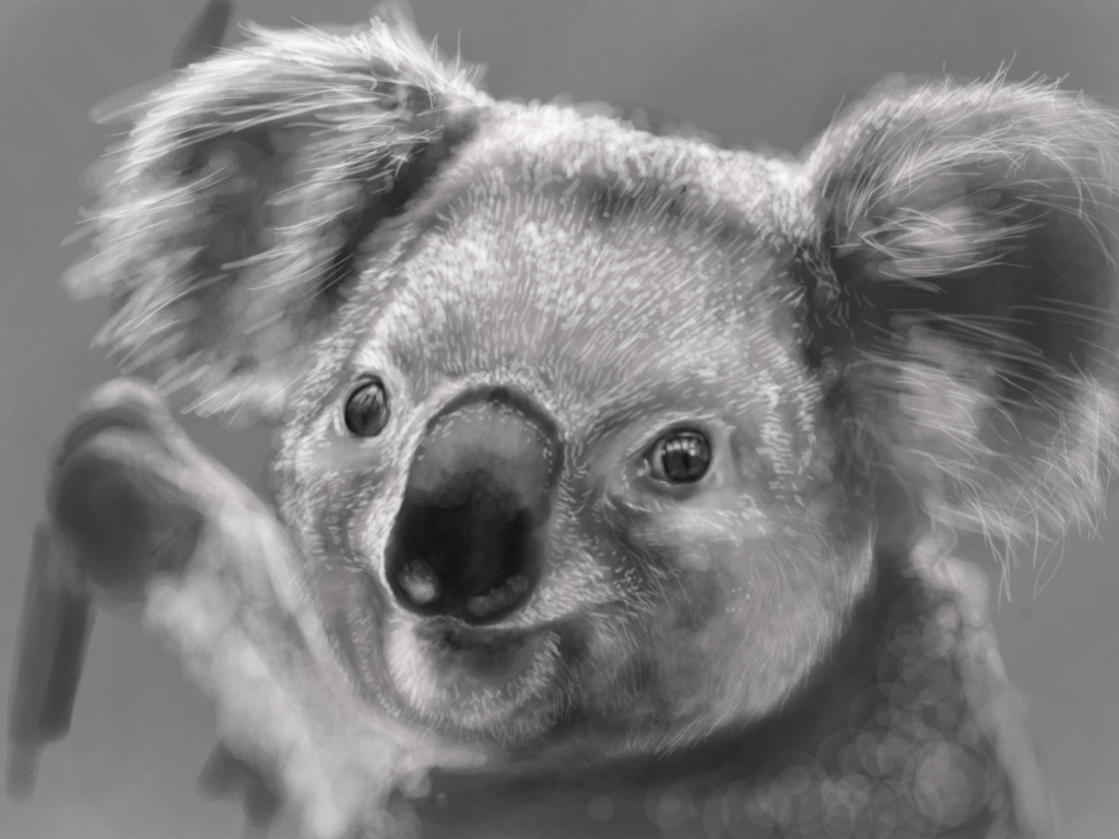 Cave Doodles - Cave-Darr