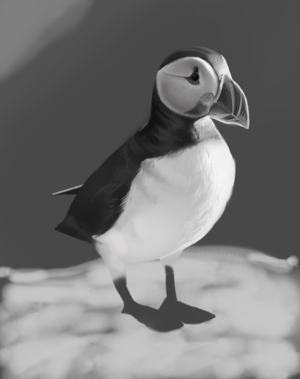 Cave Doodles - Cave-Darr