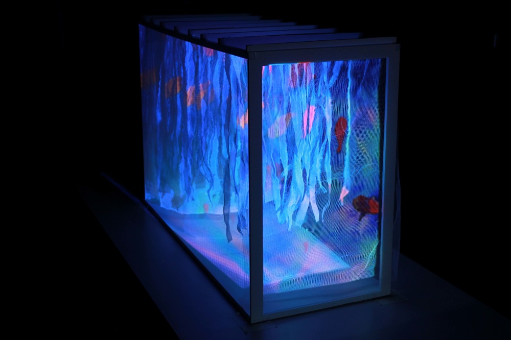 Micro-mapping - Emilie Cazimajou