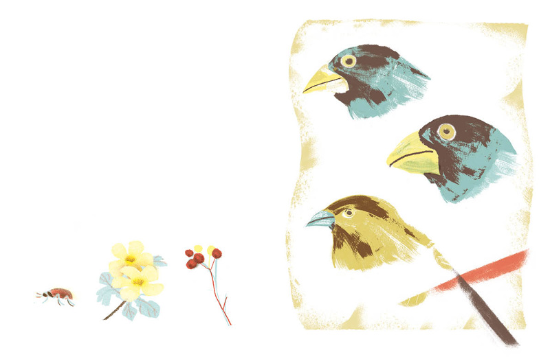 Charles et moi - Be Beluga